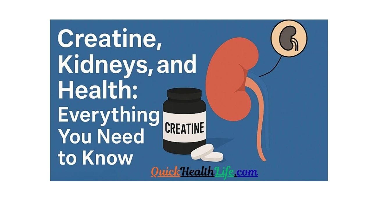 Creatine, Kidneys, and Health: Everything You Need to Know ...